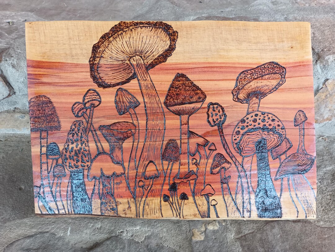 Pyrography-wall Art Mushroom - Etsy