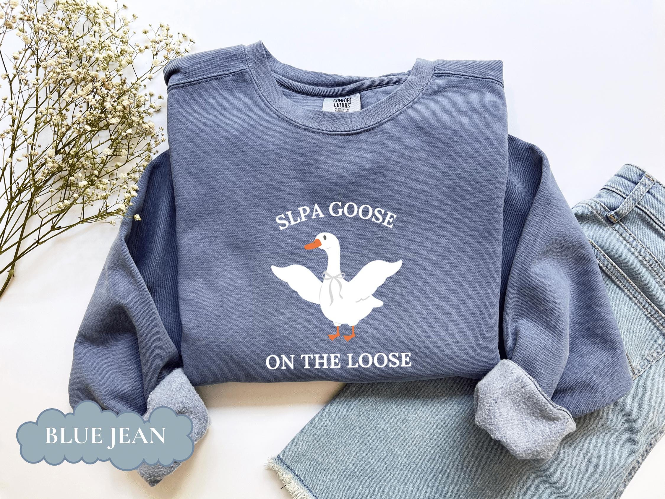 Speech Language Pathologist Assistant Comfort Colors Sweatshirt, SLPA ...