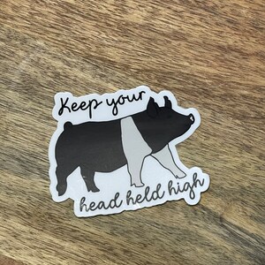 Show Pig Sticker: Keep Your Head Held High, Waterproof Vinyl (3 Inch ...