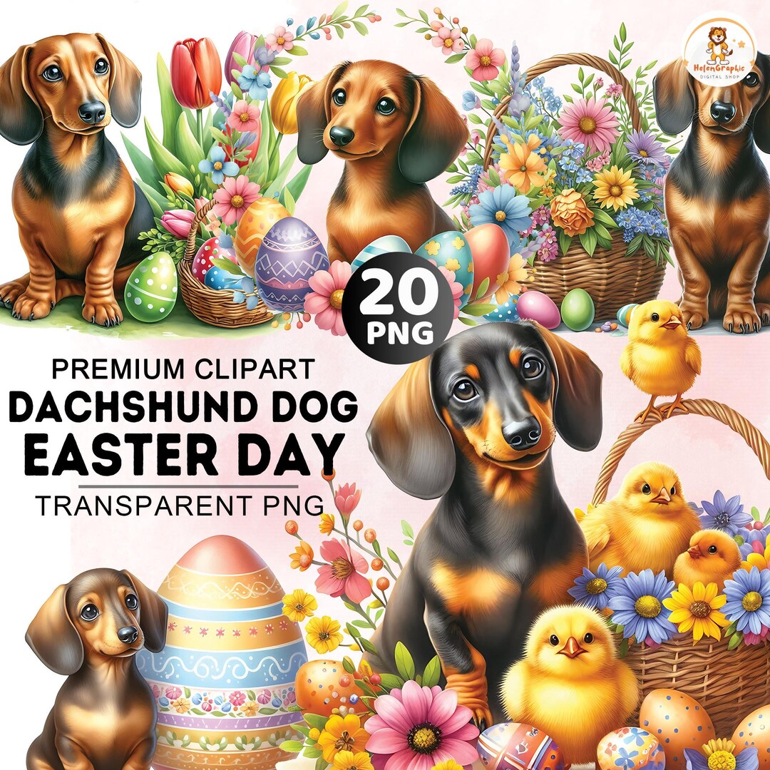 20+ Easter Sausage Dog Bundle Clipart PNG, Watercolor Easter Dachshund ...
