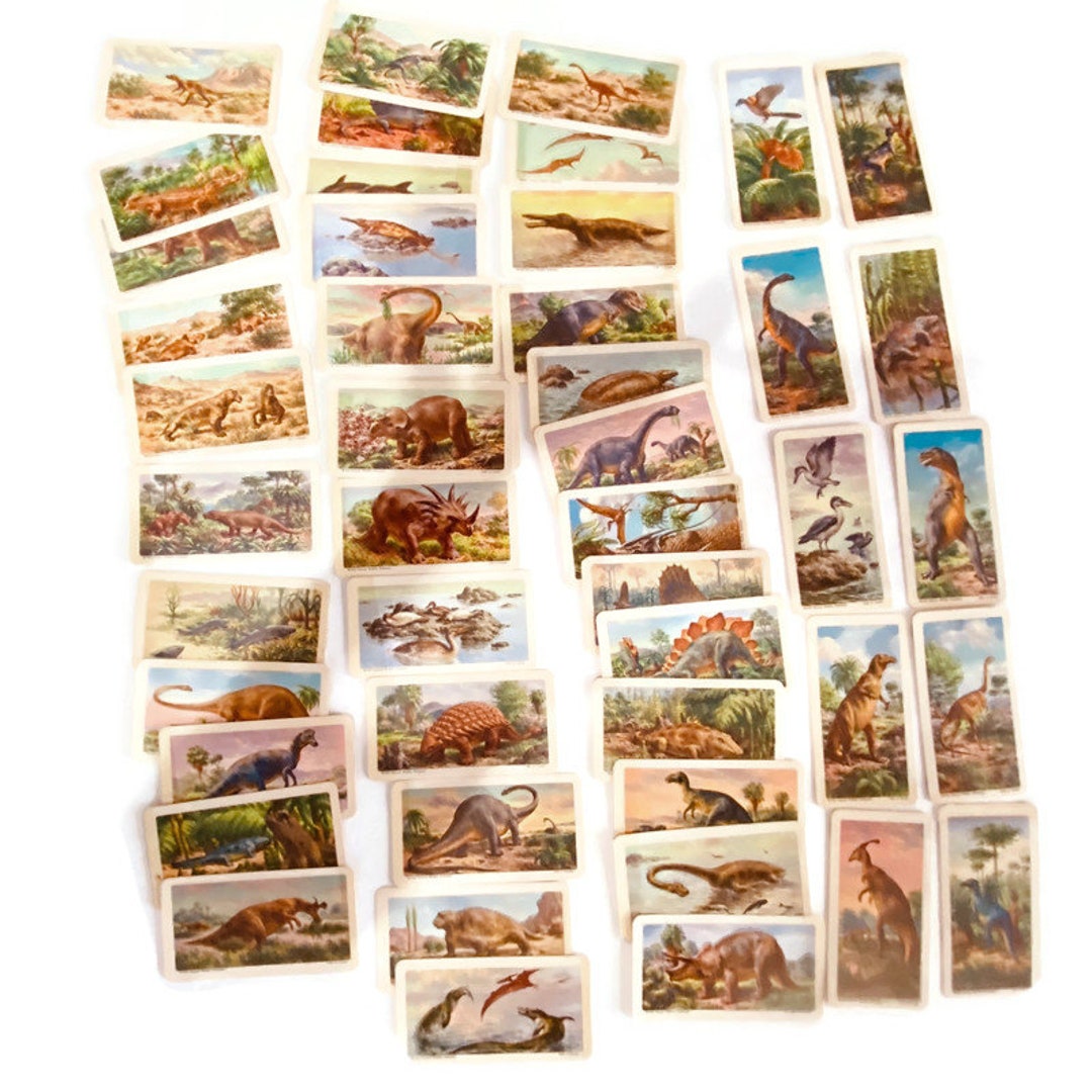 117 Vintage Tea Cards of Wild Flowers, Birds of North America, and ...