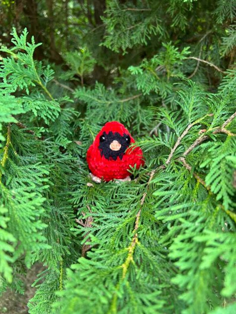Crochet Cardinal Plushie: Handmade Amigurumi Bird Companion ...
