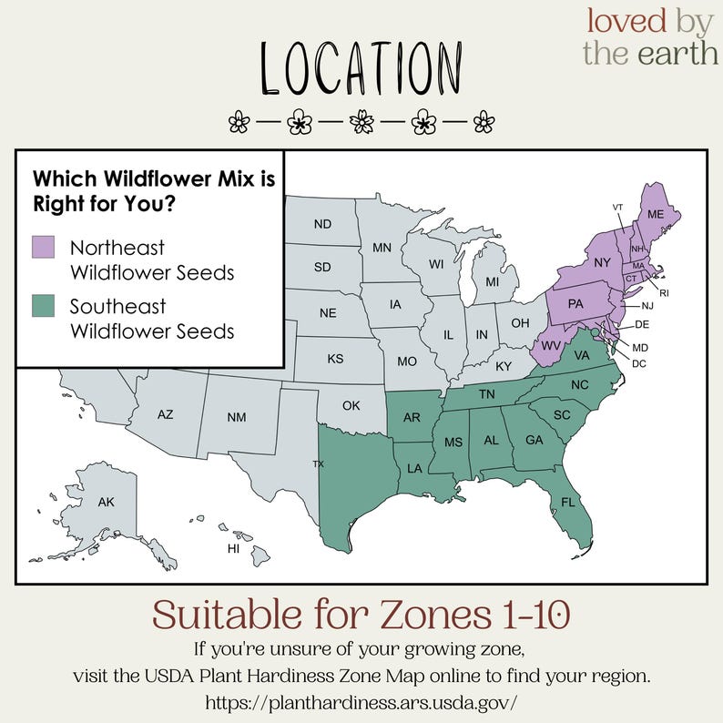 Southeast Wildflower Seed Packet: Pollinator-friendly, Non-gmo ...