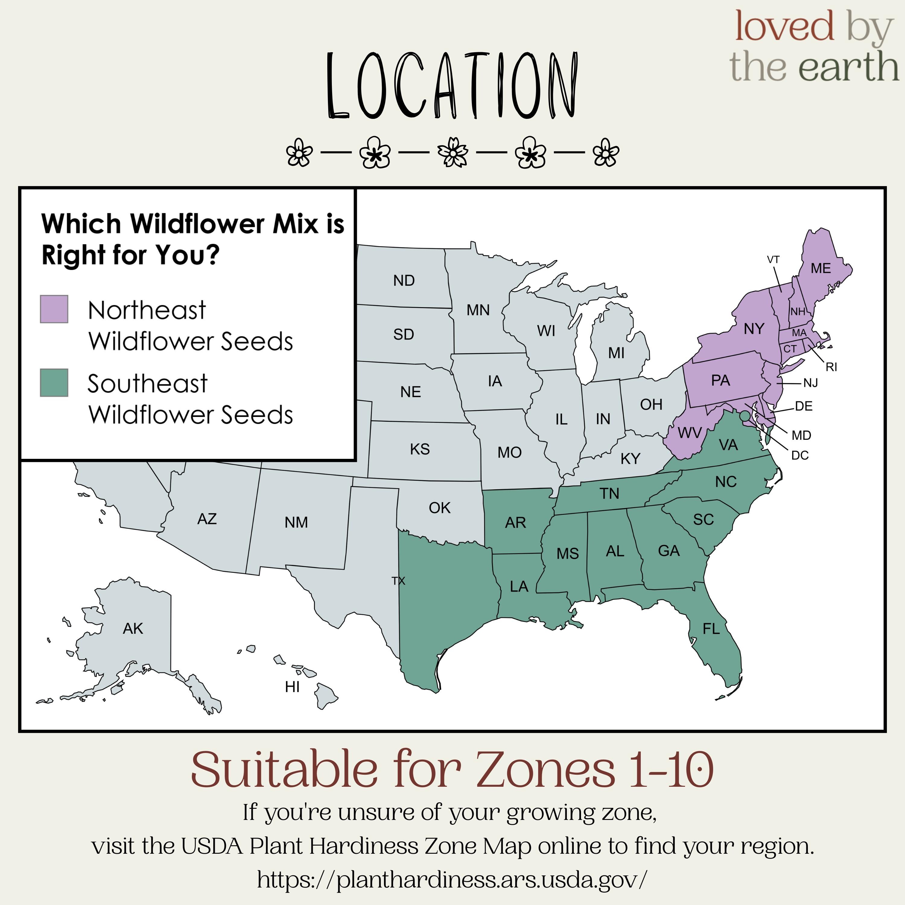 Wildflower Seed Packet Region Specific Nongmo Seed Pollinator Friendly Gardening Gift Flower ...