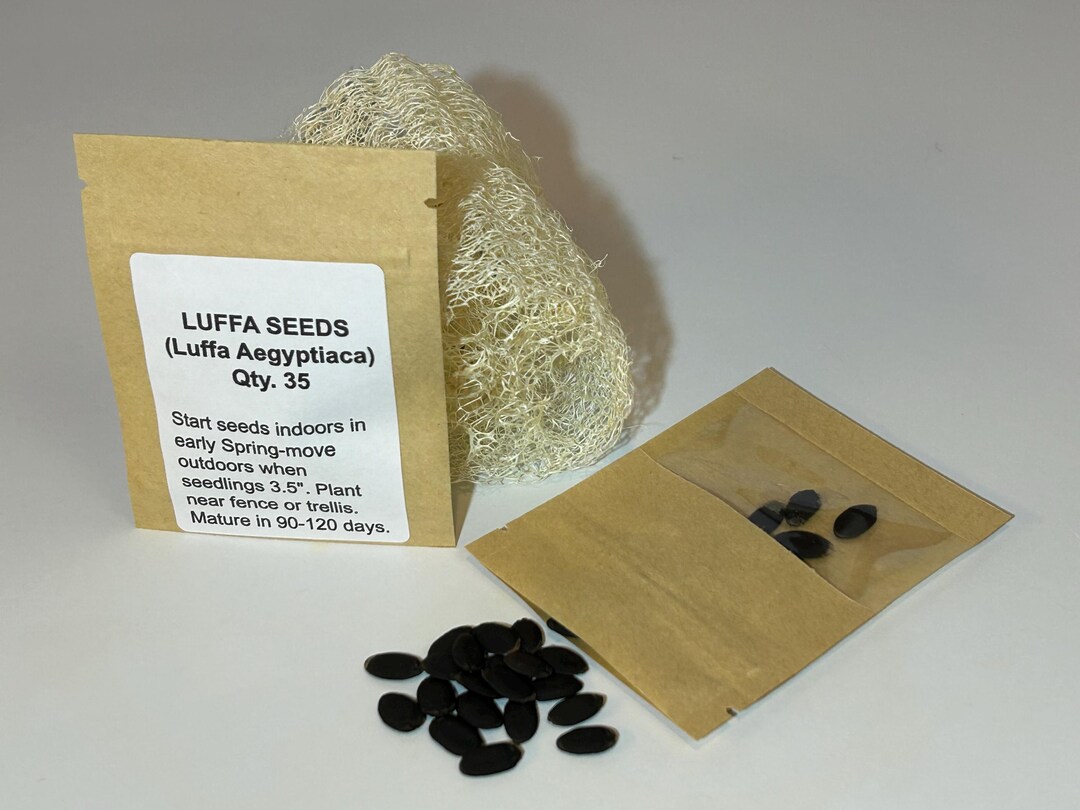 Luffa Seeds, Loofah Seeds - Etsy