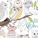 Hoot Owl Clipart, Owl Graphic Download PNG Files, Printables for ...