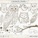 Owl Digital Stamp Outline, Cute Woodland Owl Line Art, PNG Doodle ...