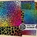 Wild Animal Print Digital Paper Exotic Rainbow Leopard - Etsy