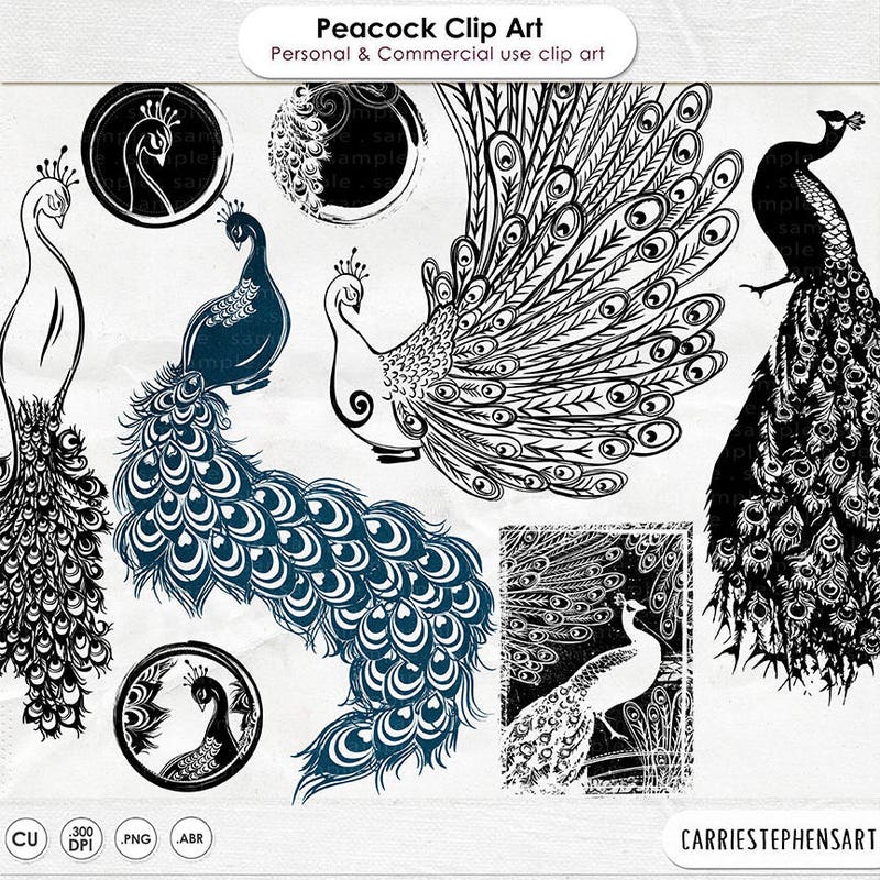 Peacock Clip Art - Etsy