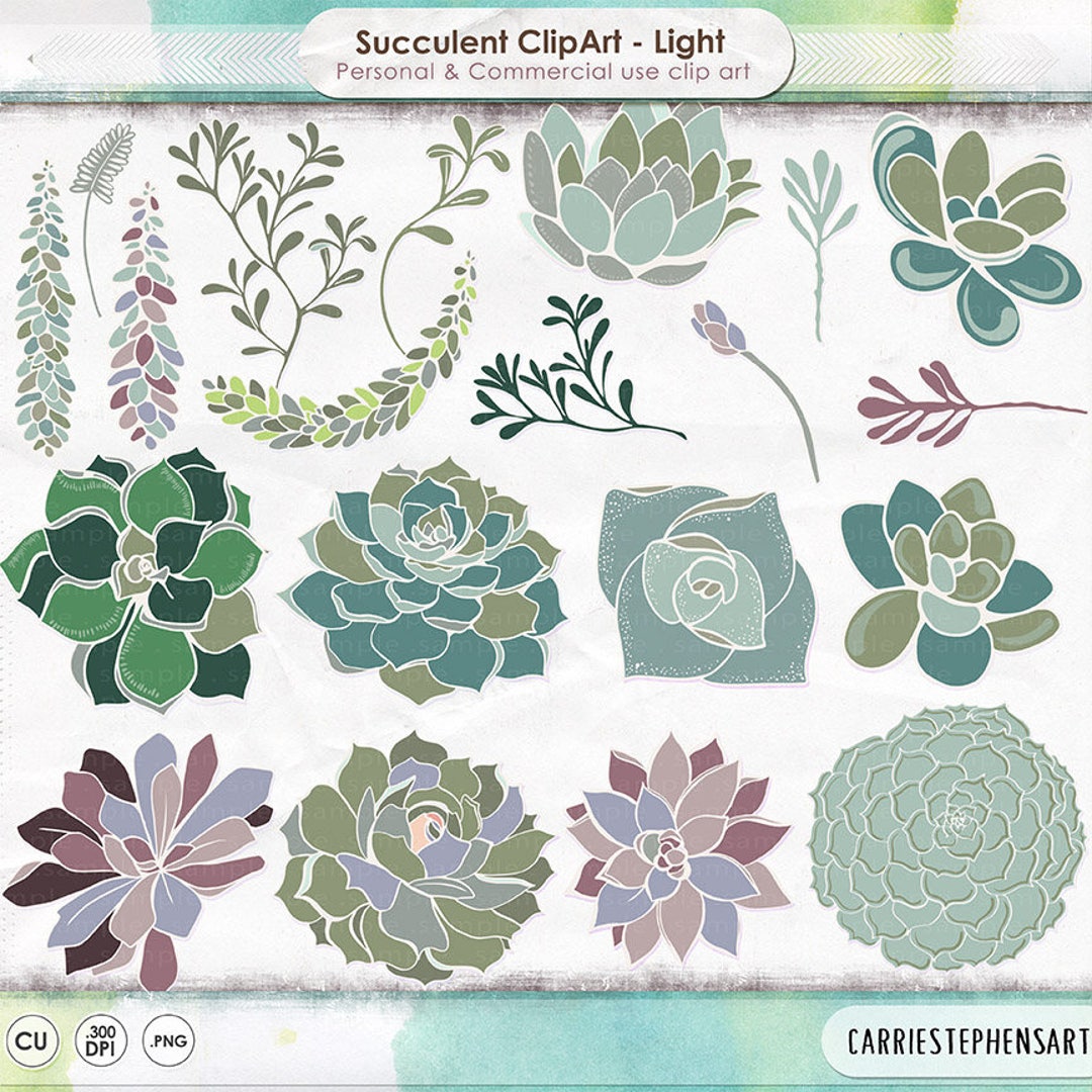 Succulent Clipart | Cactus PNG Images Download - Etsy