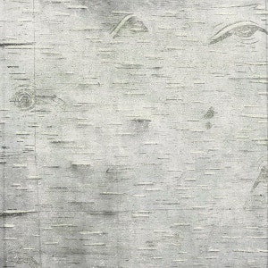 Birch Rustic Wood Digital Paper Pack, Country Farmhouse Wedding ...