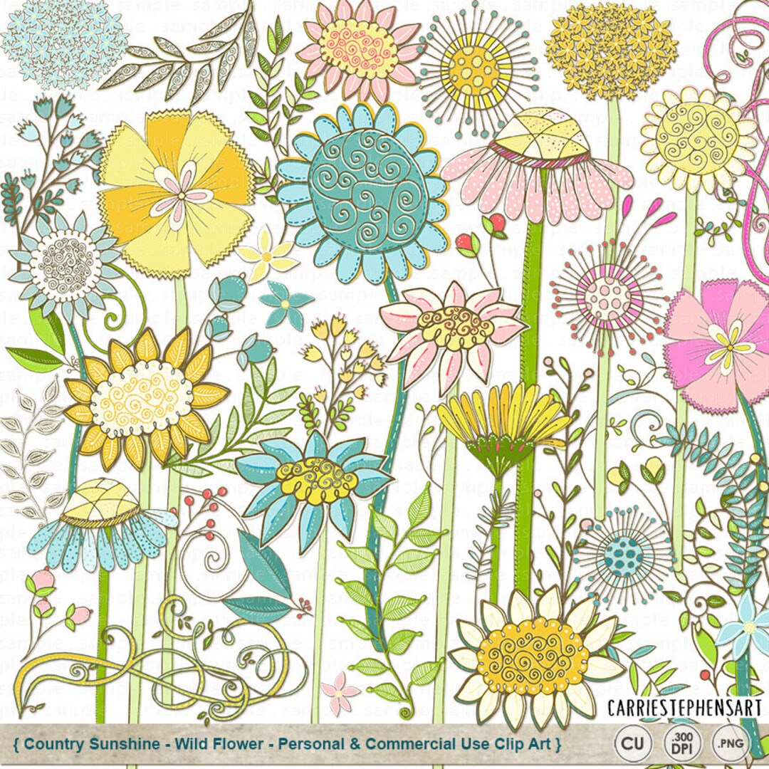 Boho Flower Clipart PNG, Wildflowers Clip Art, Spring Floral Graphic ...