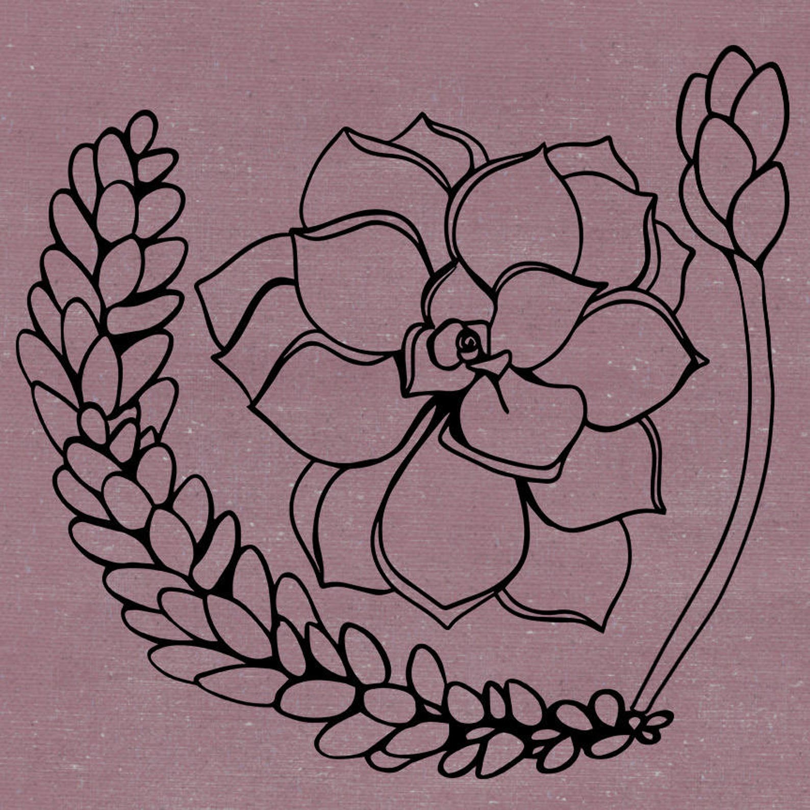 Succulent Line Art, Printable Clipart Outline, Succulent Flower Line ...