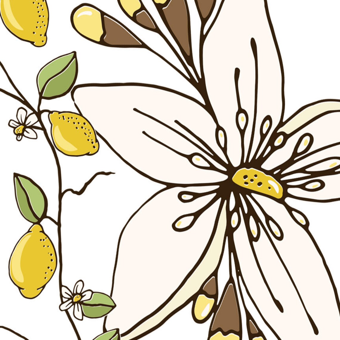 Lemon Clipart Spring Lemon Tree Blossom Hand-drawn Lemon - Etsy