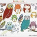 Rainbow Owl Clip Art, Colorful Primary Children Digital Images ...