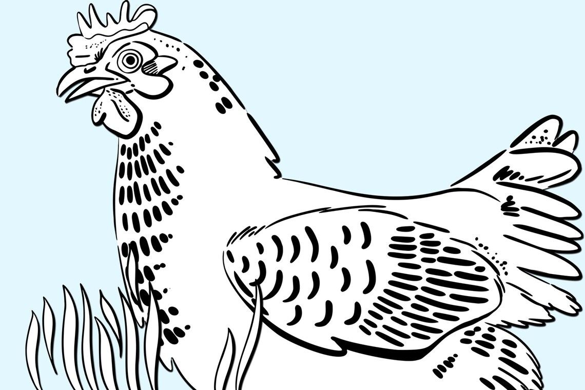 Farm Animal Line Art Images Cute Animal Clipart Hand-drawn | Etsy