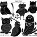 Cute Owl Doodle Clipart, Black Lineart Images, Hand-drawn PNG Digital ...