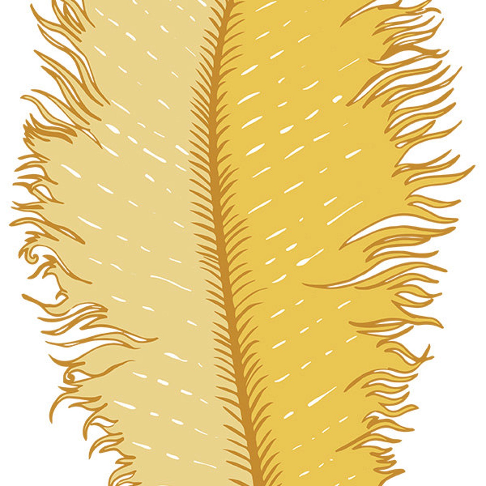 Boho Feather Clipart Hand-drawn PNG Download Printables for - Etsy