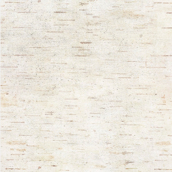 Birch Rustic Wood Digital Paper Pack, Country Farmhouse Wedding ...