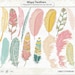 Boho Feather Clipart, Hand-drawn PNG Download Printables for Wall Art ...