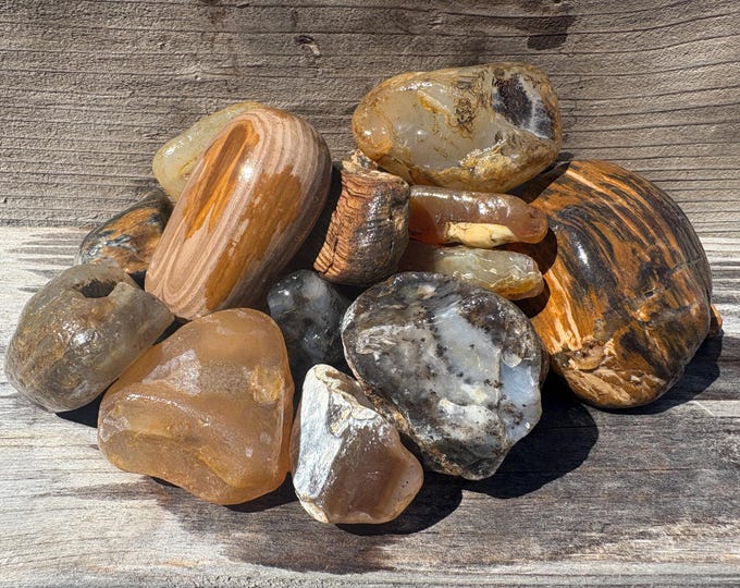 3 Lb High Grade Eastern Montana Creek Tumbling Pack - Moss Agate ...
