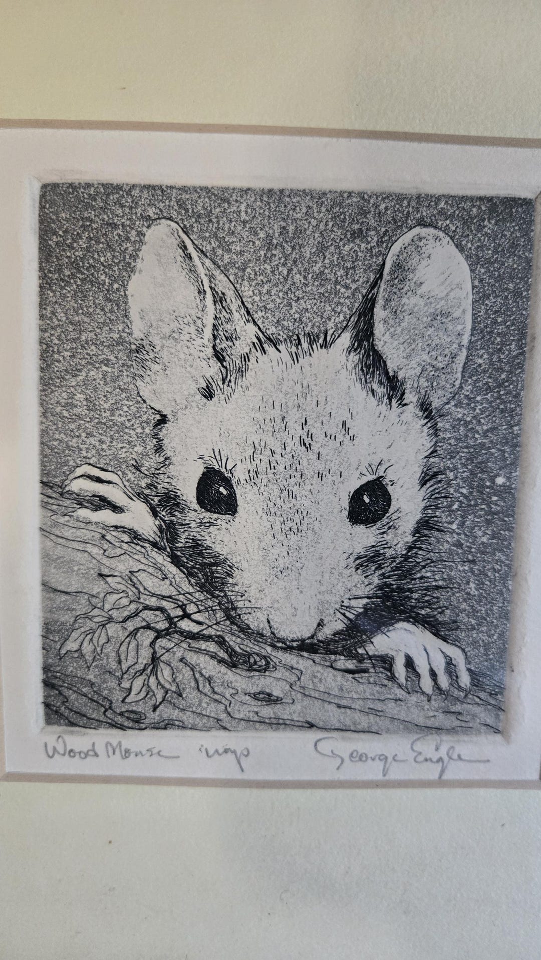 Vintage Etching George Engle Title Wood Mouse Pencil Sgnd Artist Proof ...