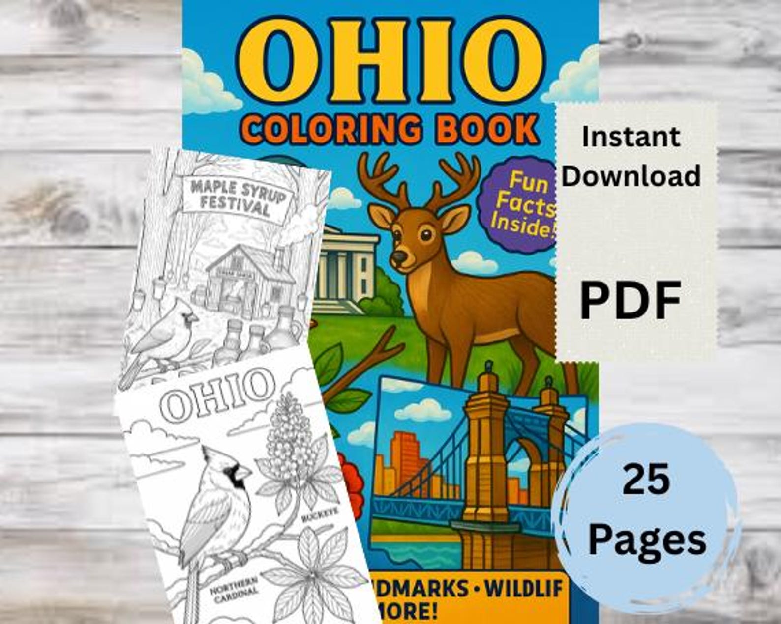Ohio Coloring Book – State Landmarks, Buckeye Symbols (PDF Pattern) - Etsy