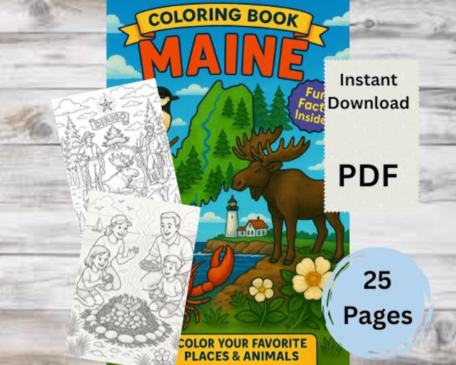 Maine Coloring Book: State Landmarks, Lighthouses & Wildlife - Etsy