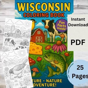 Wisconsin State Coloring Book - Etsy