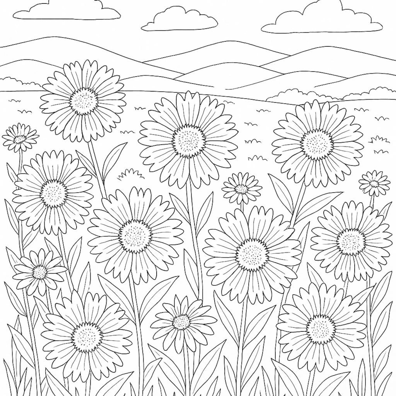 Oklahoma Coloring Book – State Landmarks & Native Heritage (PDF Pattern ...