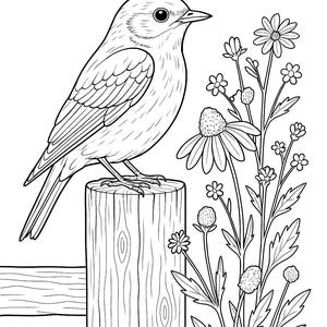 Missouri Coloring Book: State Landmarks, Wildlife & History ...