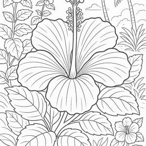 Hawaii Coloring Book: Tropical Island Art, Culture & Wildlife - Etsy