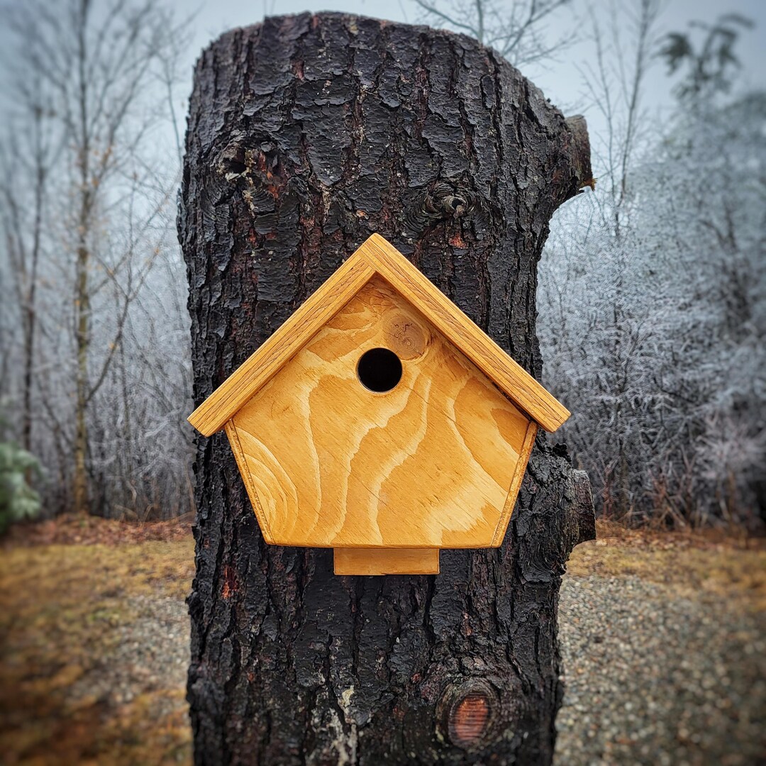 Pentagon Natural Wood Birdhouse for Chickadees & Wrens - Etsy
