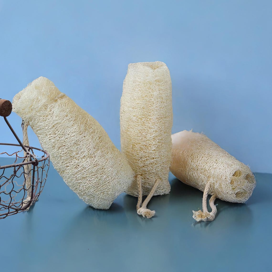 Natural Loofah Slices Set: Zero Waste Sponge, Pet Toy & Craft Supply - Etsy