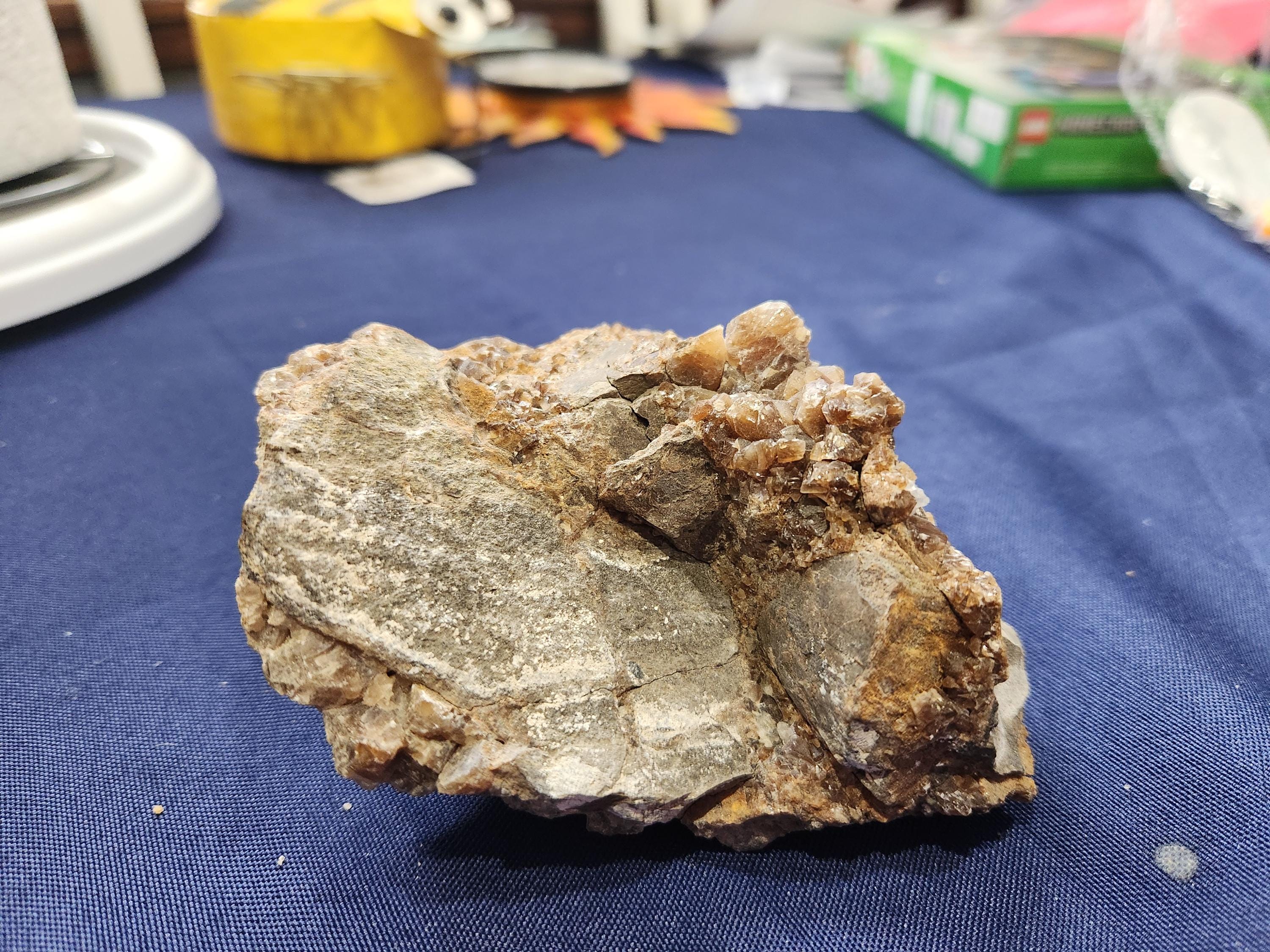 Baculite Fossils in "rootbeer" Baryte Shale Matrix - Etsy