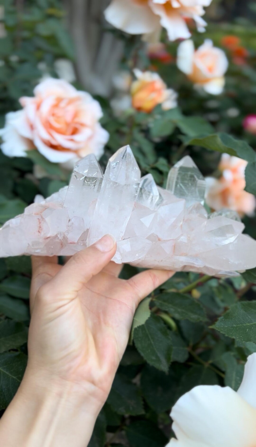 Himalayan Quartz Cluster | Crown Chakra, Sacred Altar Stone - Etsy