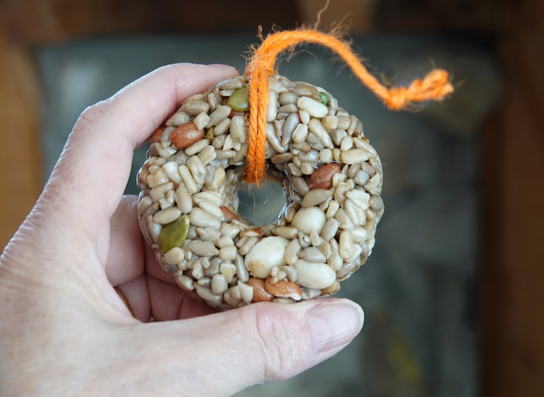 Mini Wreaths / Donuts Bird Seed Feeders Ornaments Ready to - Etsy