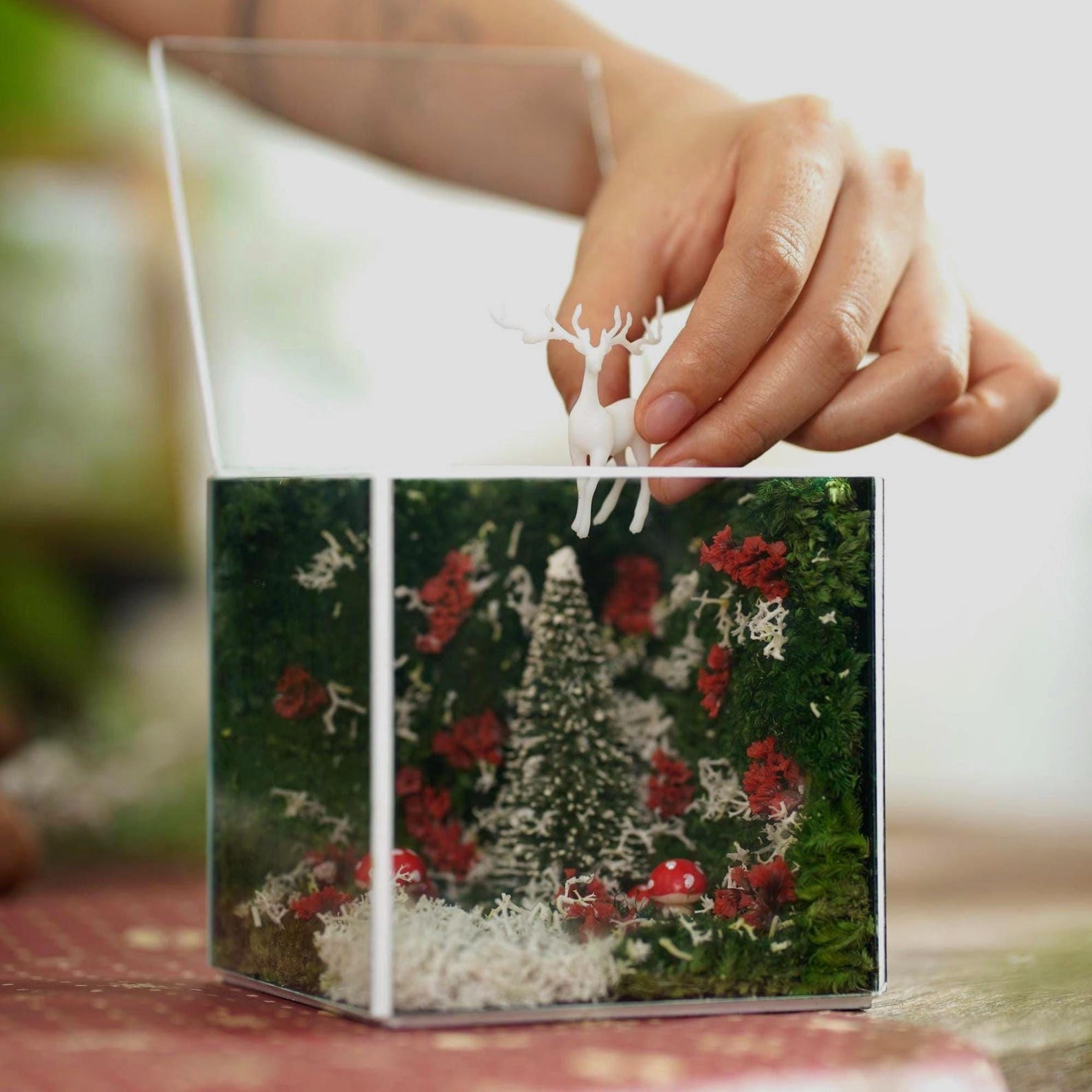 Preserved Moss Art Terrarium | Non Maintenance | Mother's Day ...