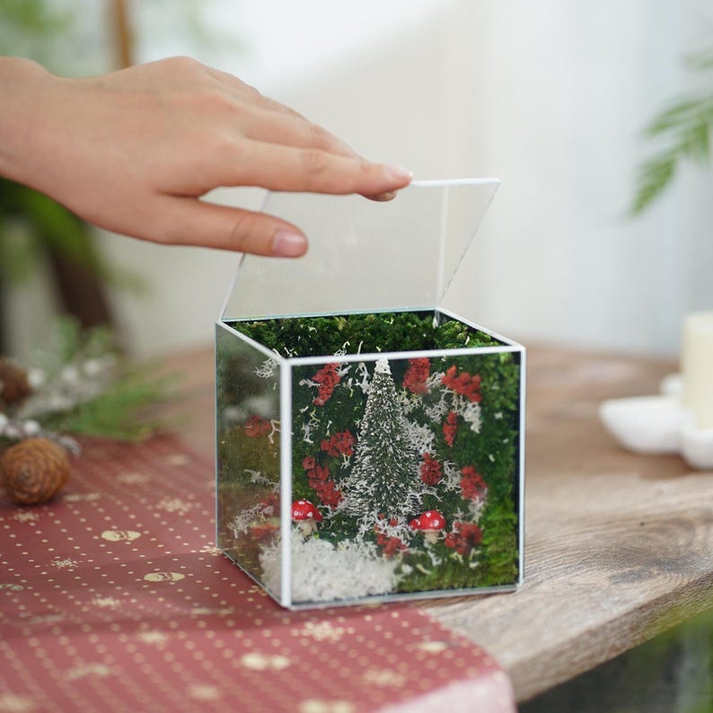 Preserved Moss Art Terrarium | Non Maintenance | Mother's Day ...