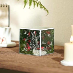 Preserved Moss Art Terrarium | Non Maintenance | Mother's Day ...
