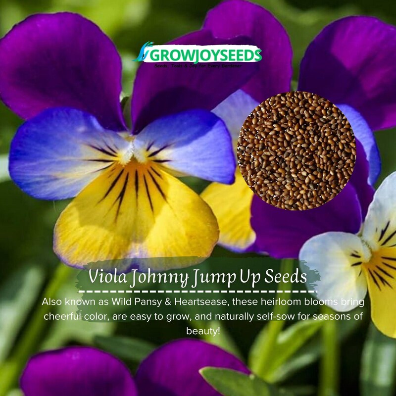 Johnny Jump Up - Etsy