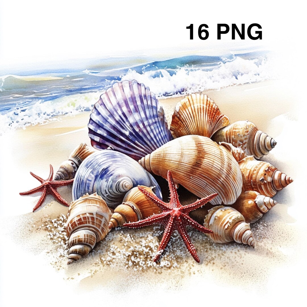 16 PNG Watercolor Sea Shell Clipart Underwater Ocean Beach Under the ...