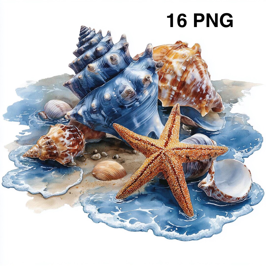 16 PNG Watercolor Sea Starfish Clipart Printable Seashell Underwater ...