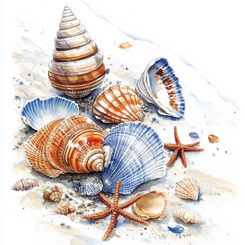16 PNG Watercolor Sea Shell Clipart Underwater Ocean Beach Under the ...