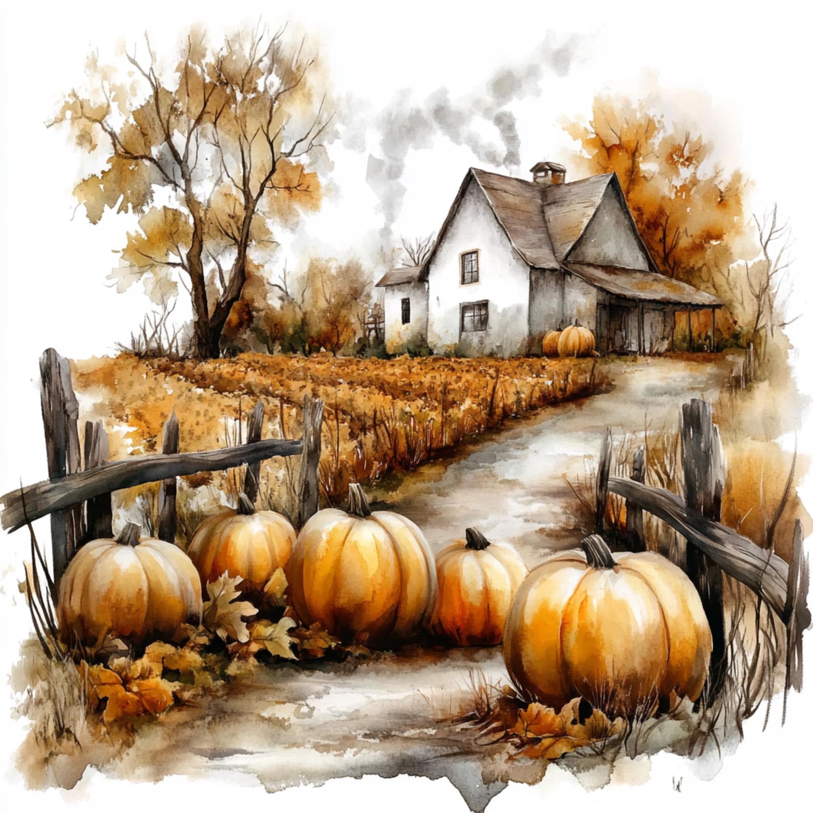 16 PNG Watercolor Pumpkins Clipart Field With Pumpkins Card Making ...