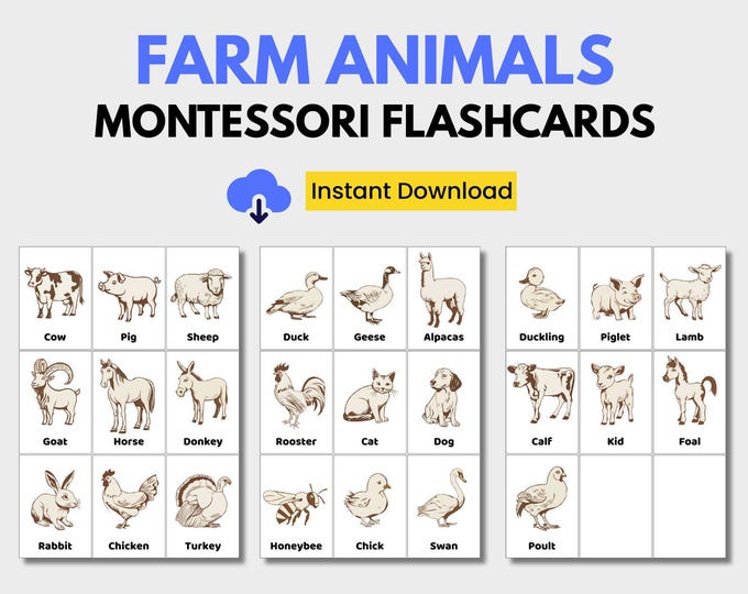DESERT ANIMALS • 24 Editable Montessori Cards • Flash Cards ...
