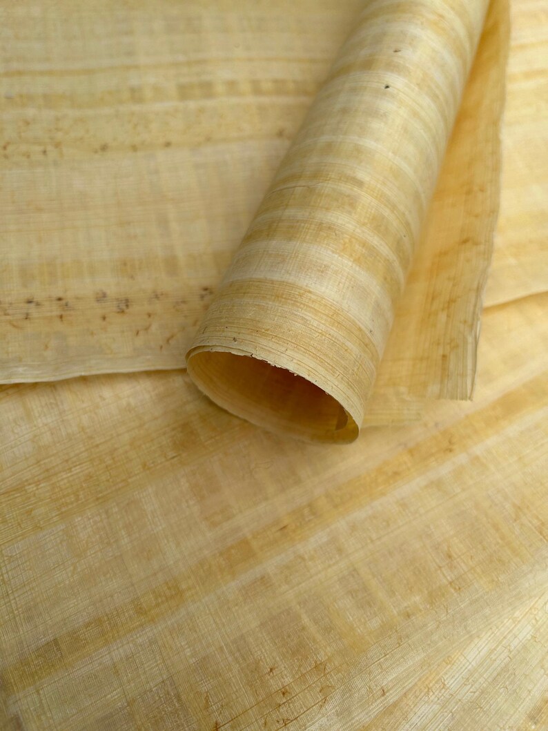Egyptian Handmade Blank Papyrus Sheets 1/5/10/15/20 Sheets for Art ...