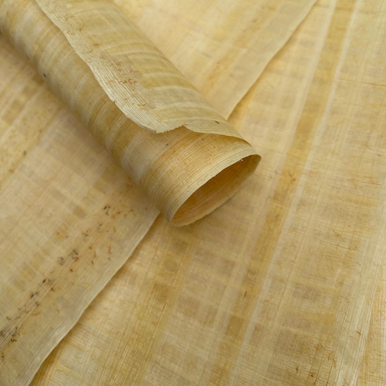 Egyptian Handmade Blank Papyrus Sheets 1/5/10/15/20 Sheets for Art ...