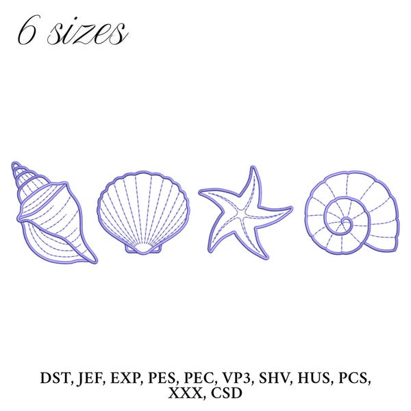 Coastal Small Shells - Etsy