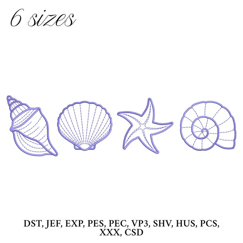 Coastal Small Shells - Etsy